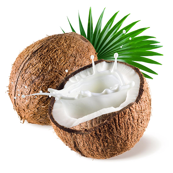 Virgin Coco Indonesia | Virgin Coconut Oil made in Indonesia